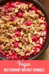 Vegan Red Currant Crumble Recipe with Walnut Crumble Topping - Cinnamon ...