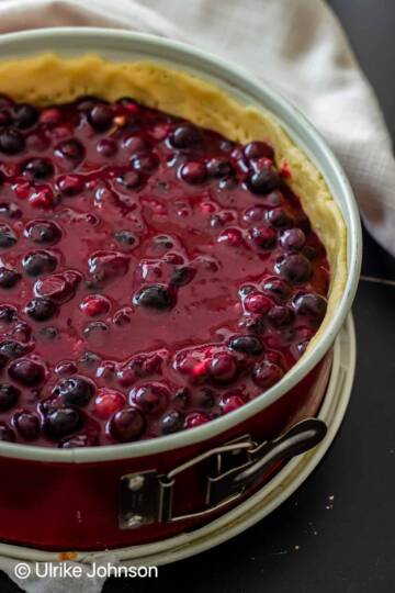 German Blueberry Cake - Blueberry Kuchen Recipe