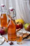 German Apple Liqueur Recipe